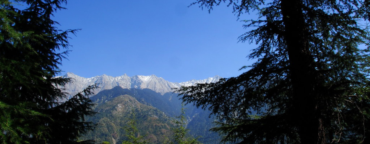 Naddi Village - Scoutripper